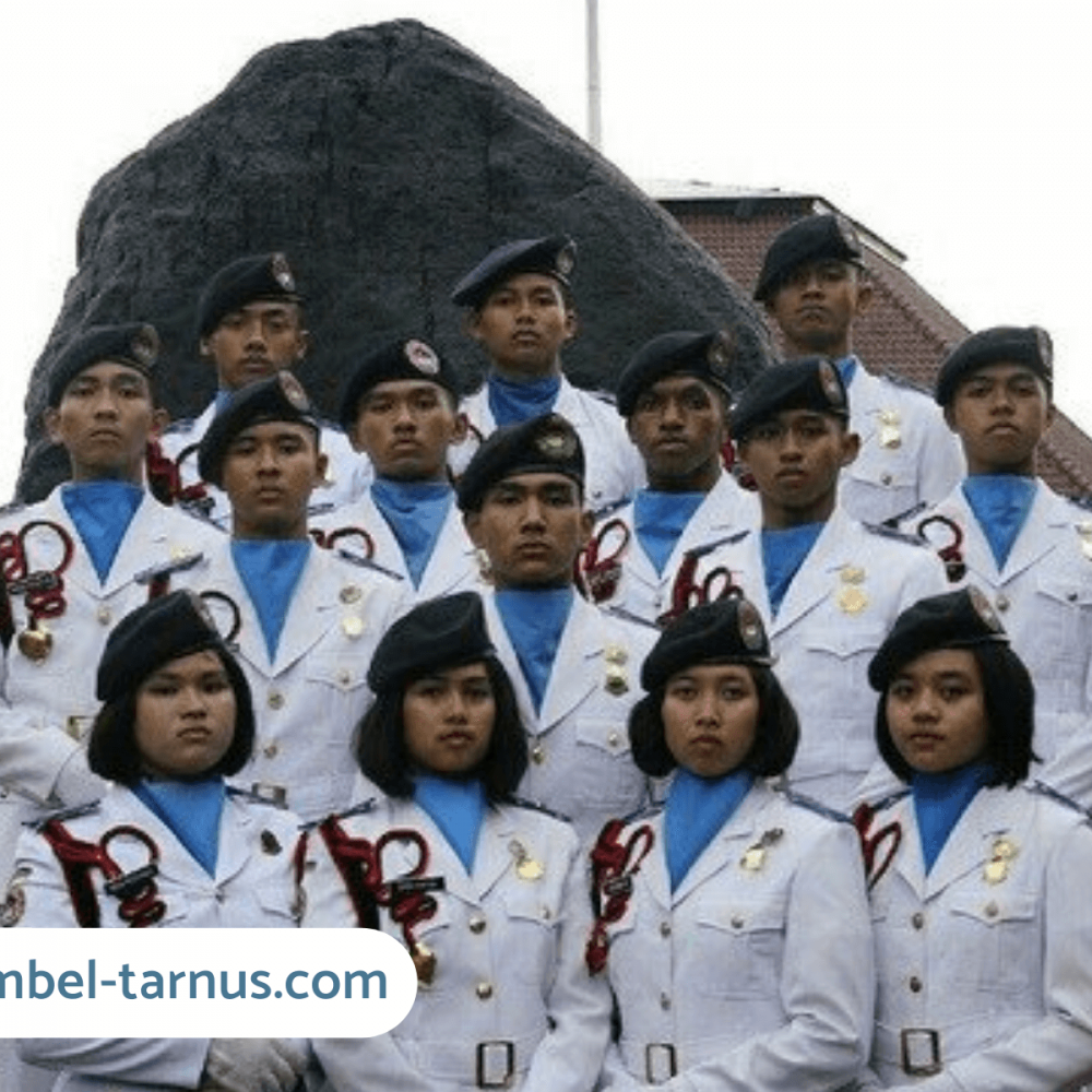 Biaya dan Syarat Terbaru Masuk SMA Taruna Nusantara 2025 - Bimbel ...